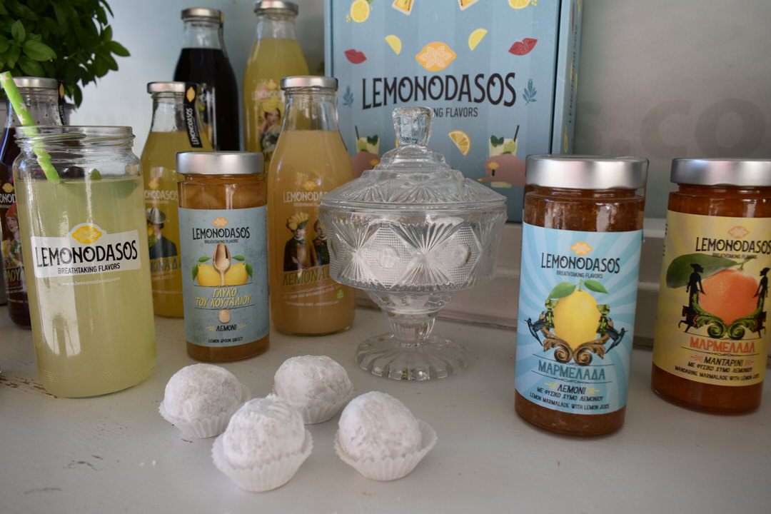 Lemonodasos : A sweet story inspired by the enchanting lemon forest of ...